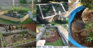 8 Essentials For Setting Up A Propper Box Turtle Habitat - AG