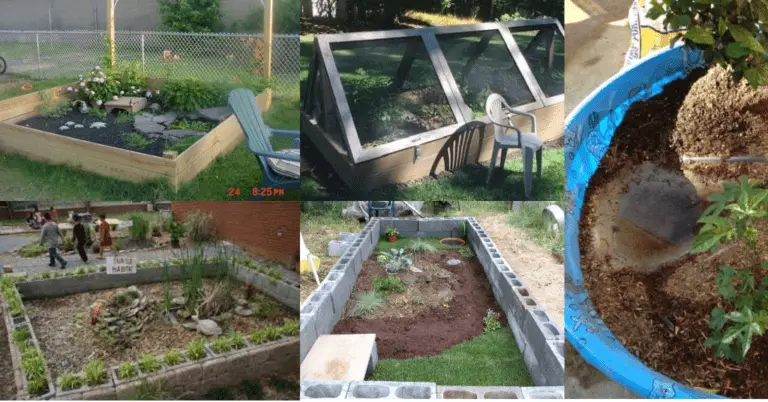 8 Essentials For Setting Up A Propper Box Turtle Habitat - AG