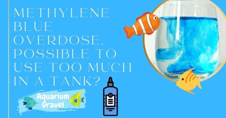 Methylene Blue Overdose, Possible To Use Too Much In a Fish Tank?