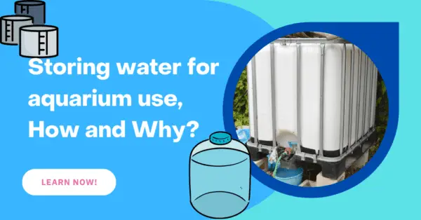 Storing water for aquarium use, How and Why? - AG