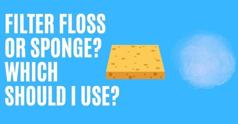 Filter Floss or Sponge? Which Should I Use?