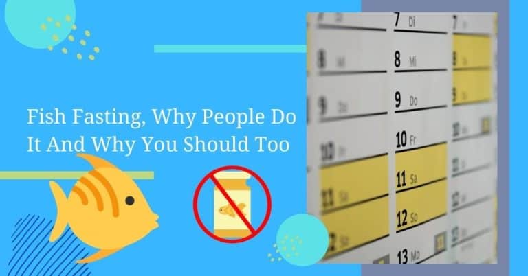 Fish Fasting, Why People Do It And Why You Should Too