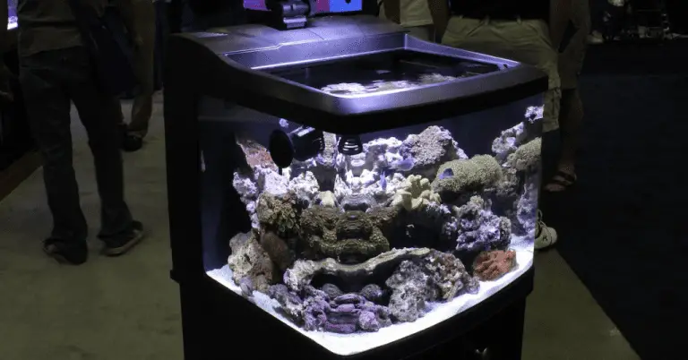 Oceanic Aquariums, Are They Still Good?