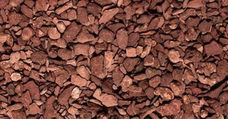 Picking the Best Substrate for a Freshwater Aquarium