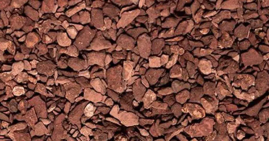 Picking the Best Substrate for a Freshwater Aquarium